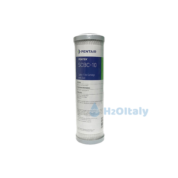 0,5 micron - Pentek SCBC-10 silver Carbon Block cartridge 2-7/8"x9-3/4 ...